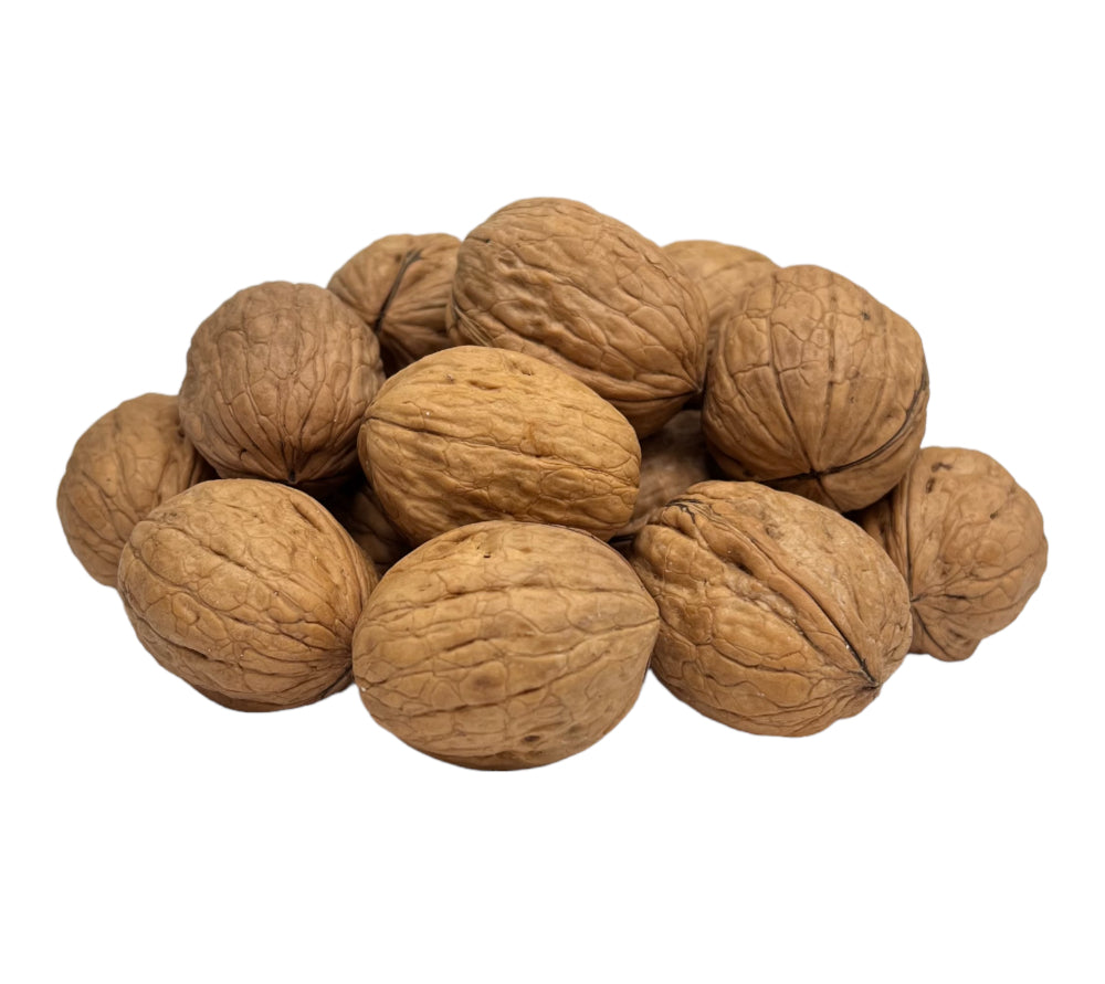 Walnut in shell 1 Kg – Super Parsian